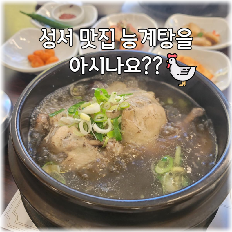 성서맛집 능계탕 성서제1능이버섯백숙 네이버 블로그